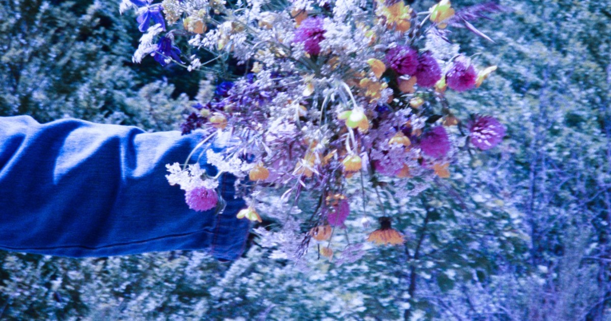 Nyet Nyet Nyet - "Showcase électro" – GRAME